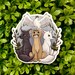 The Cadre Sticker Throne of Glass Merch TOG Merchandise - Etsy