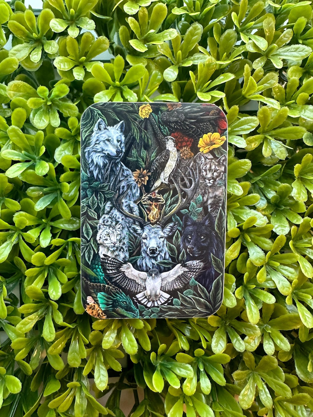 Creatures of Erilea Sticker | Throne of Glass Merch | TOG Merchandise ...