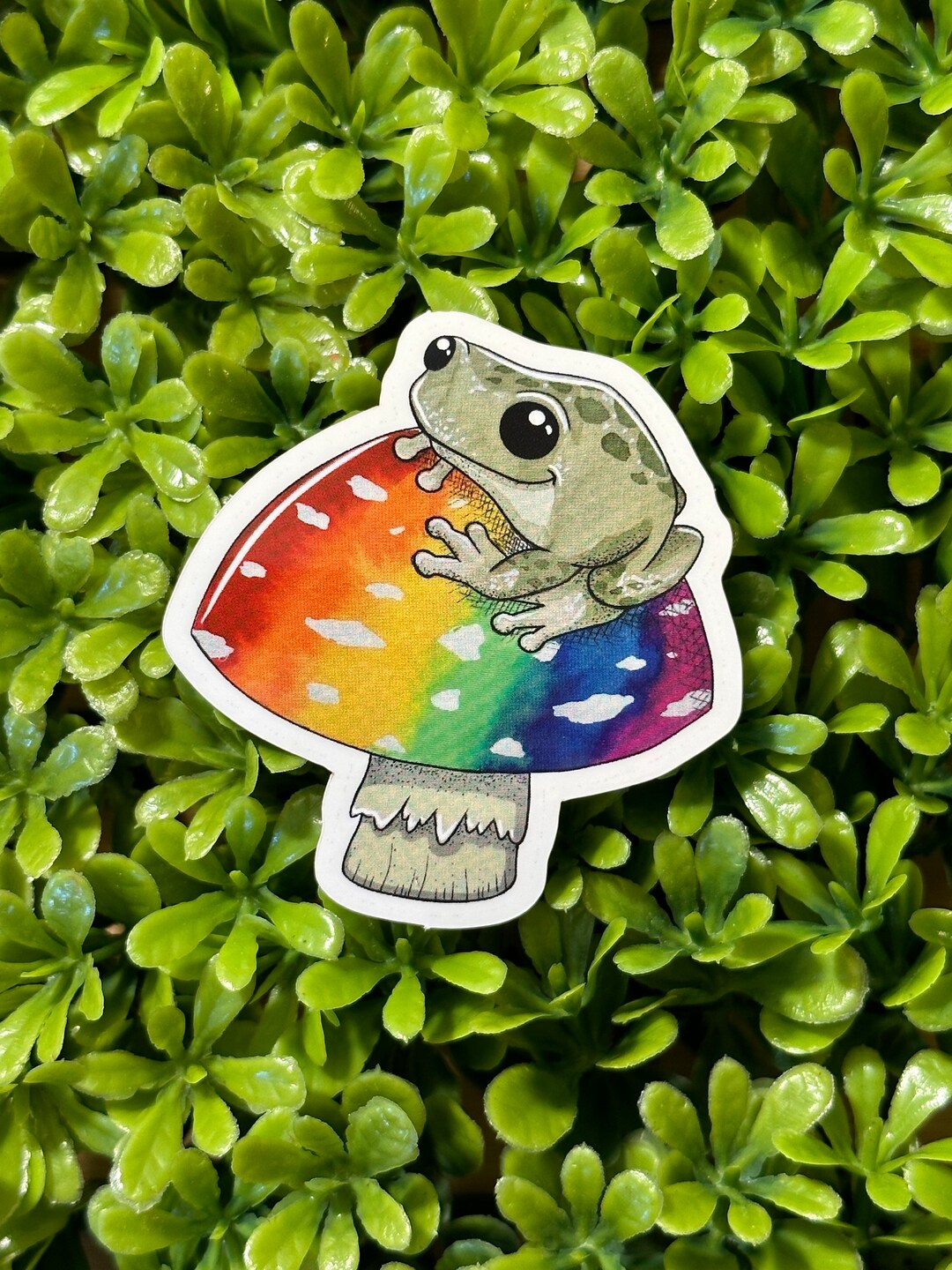 Frog Sticker| Rainbow Sticker |waterproof Sticker | UV Protected ...