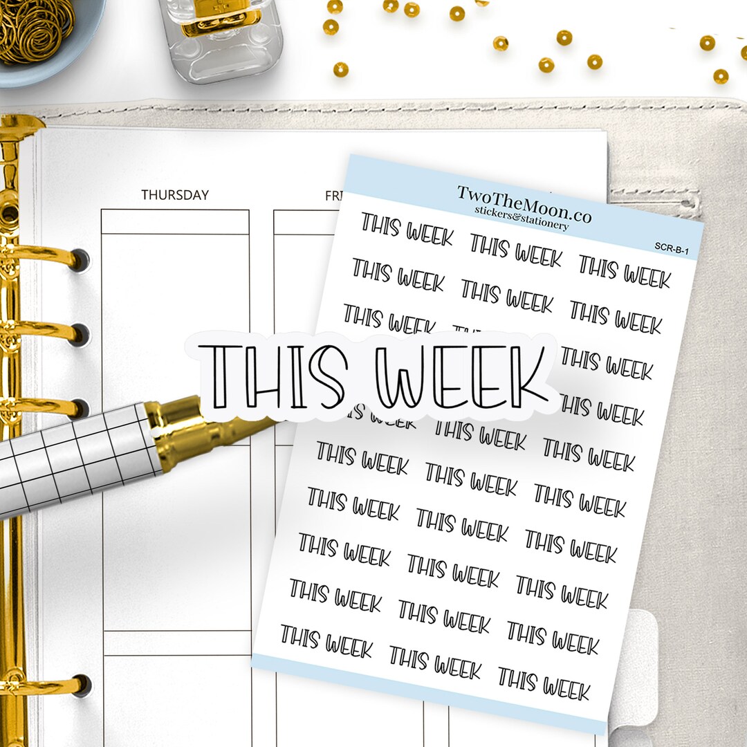 This Week Planner Stickers / Functional Planner Stickers / Bullet ...
