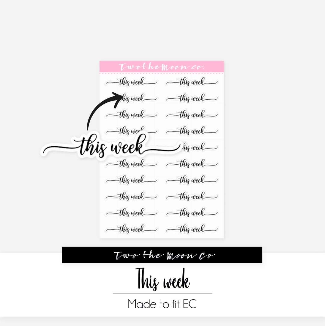This Week Planner Stickers / Functional Planner Stickers / - Etsy