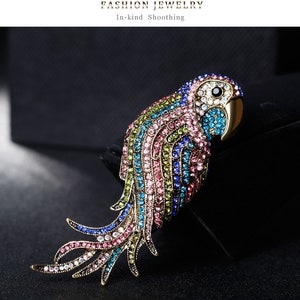 Beautiful Rhinestone Parrot Brooch , Animal Fashion Jewelry, Parrot ...