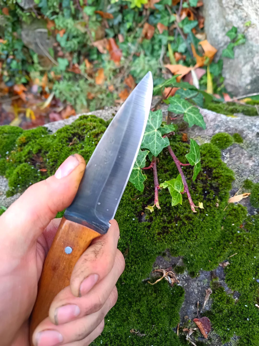 Pennsylvania Handmade. Carbon Steel Full Tang Angelique Wood,leather ...