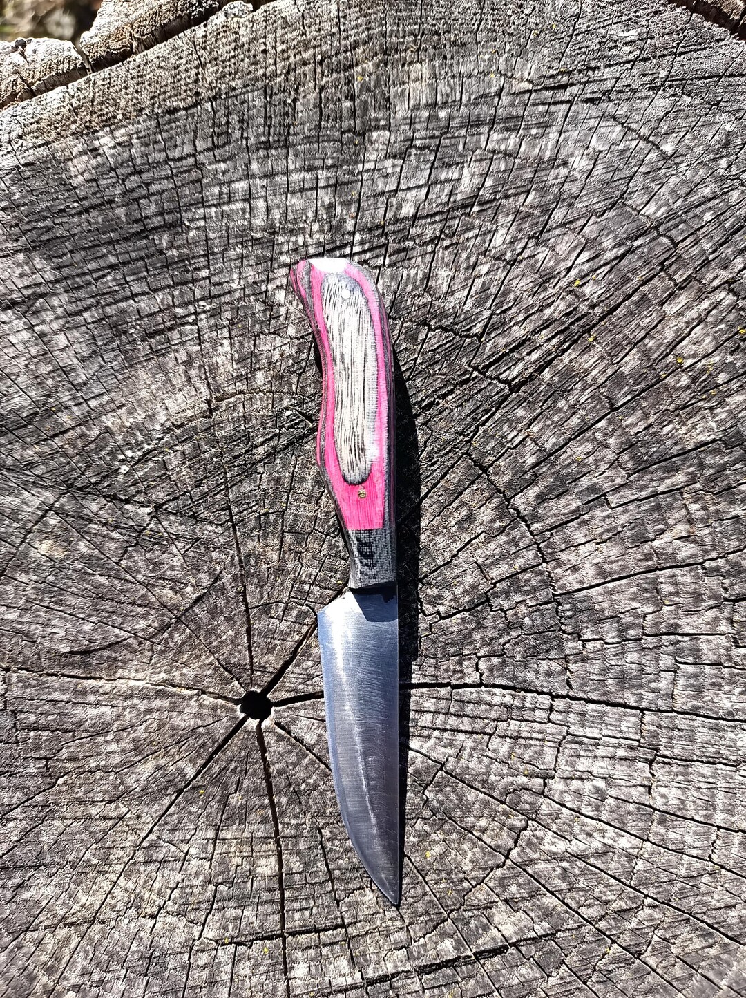 Pennsylvania Made Stainless Full Tang Tiny Knife - Etsy