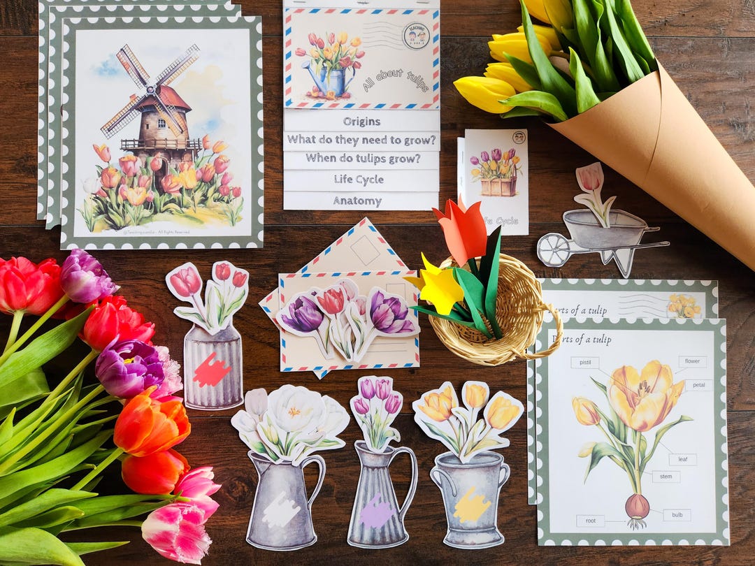 Tulips Unit Study, Spring Flowers, Netherlands, Life Cycle of a Tulip ...