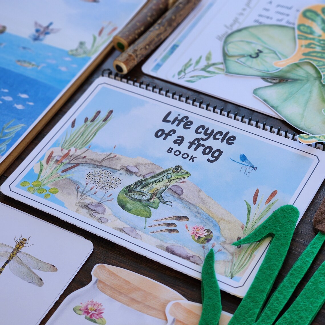 Pond Unit, Pond Study, Montessori Inspired, Homeschool, Homeschool ...