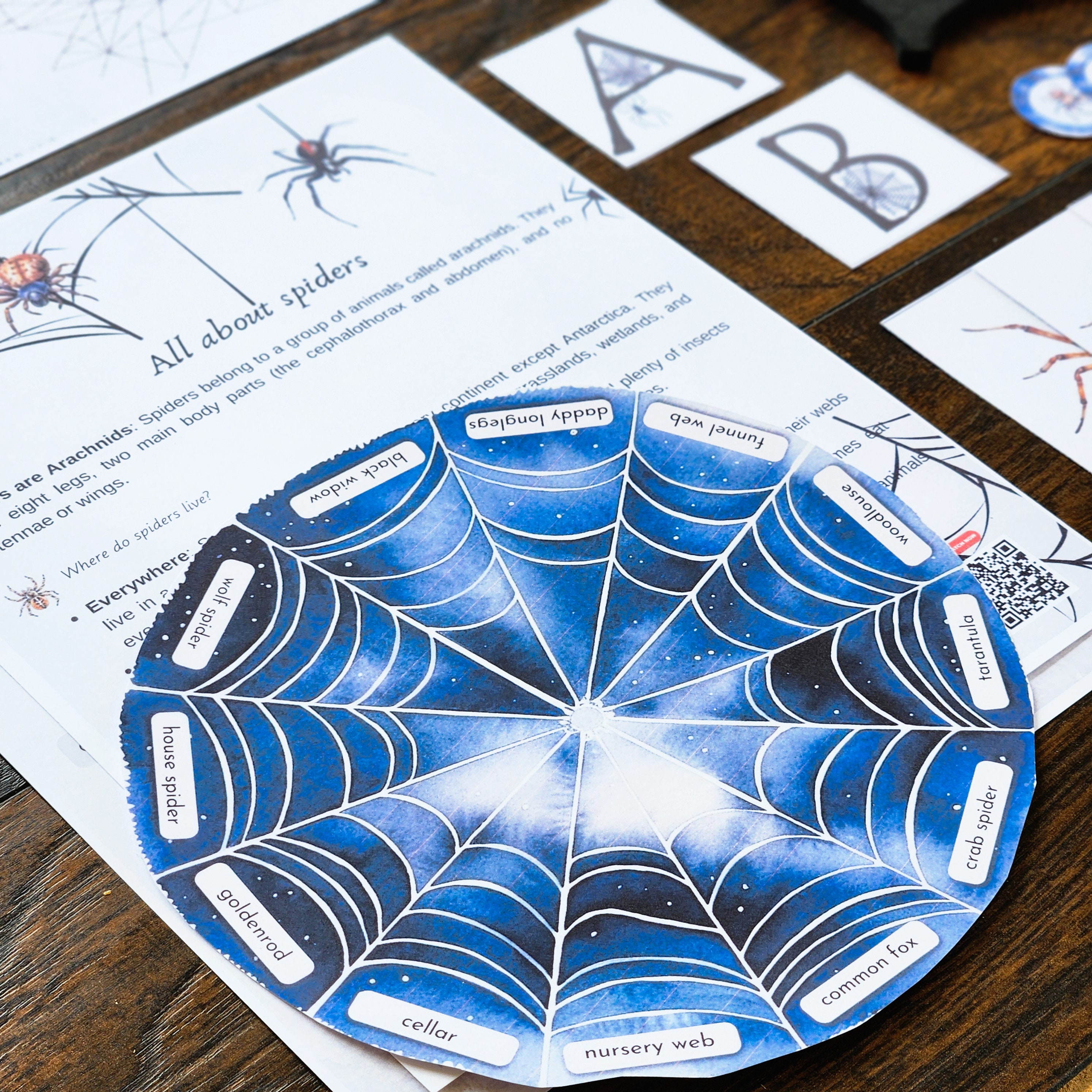 Spiders Printable Pack: Homeschool Curriculum, Spider Web Activities - Etsy