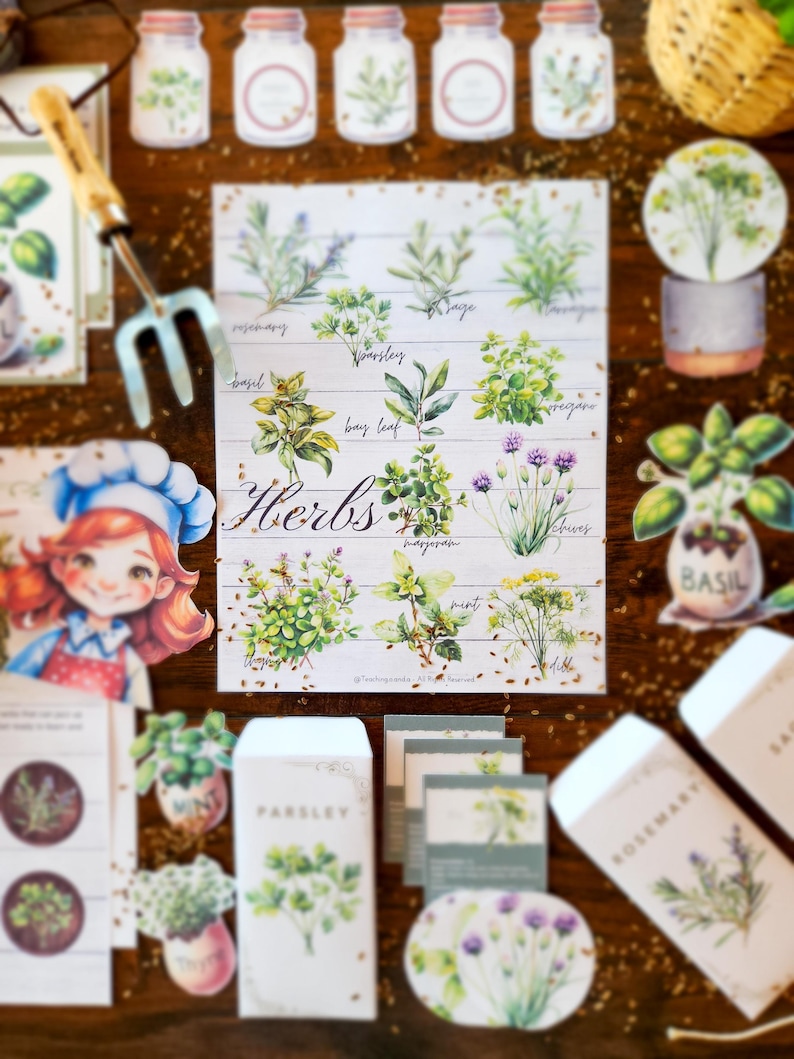 Herbs Unit Study: Montessori 3-part Cards & Activities (printable) - Etsy