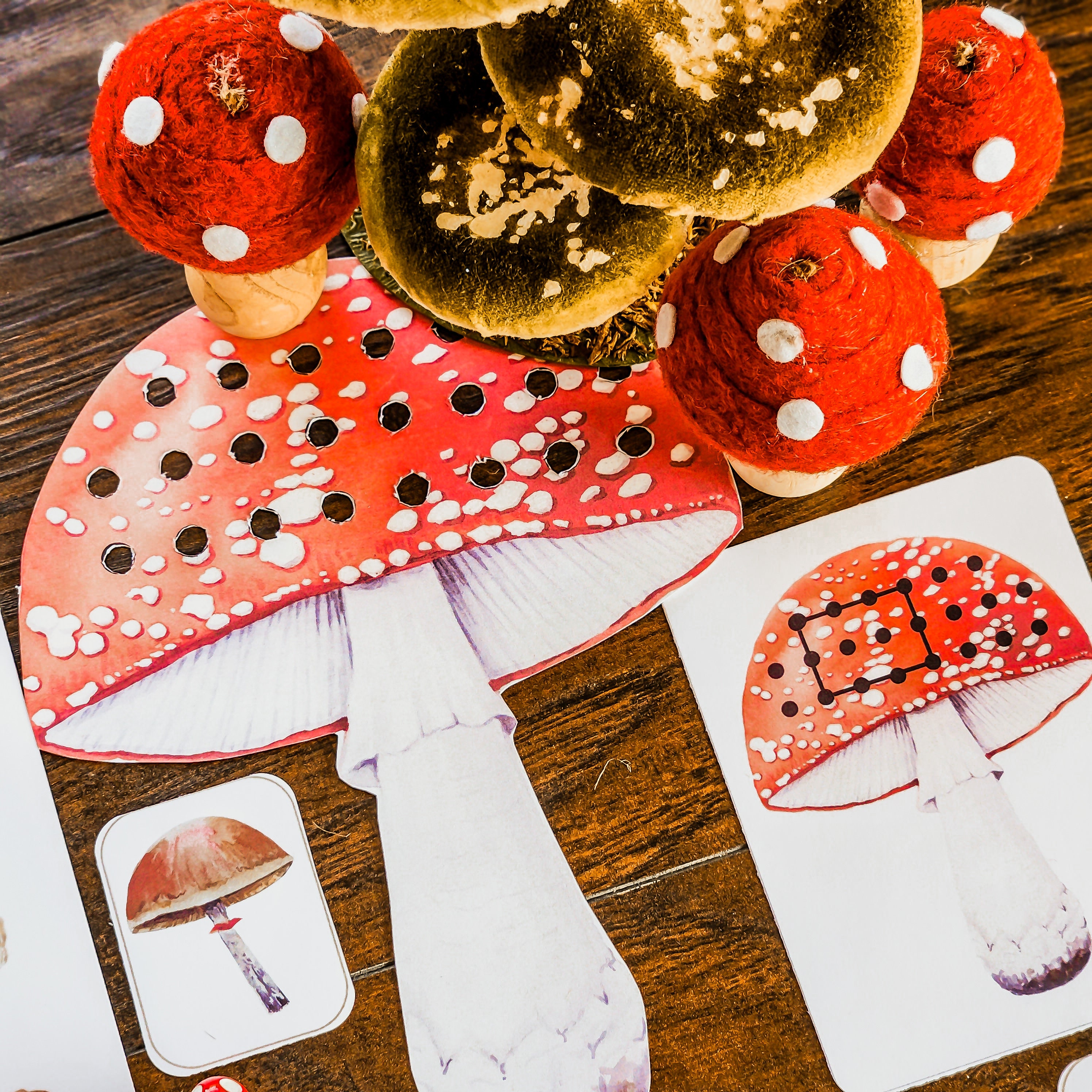Mushrooms, Fungi, Mushroom Bundle, Mushroom Unit, Printables ...