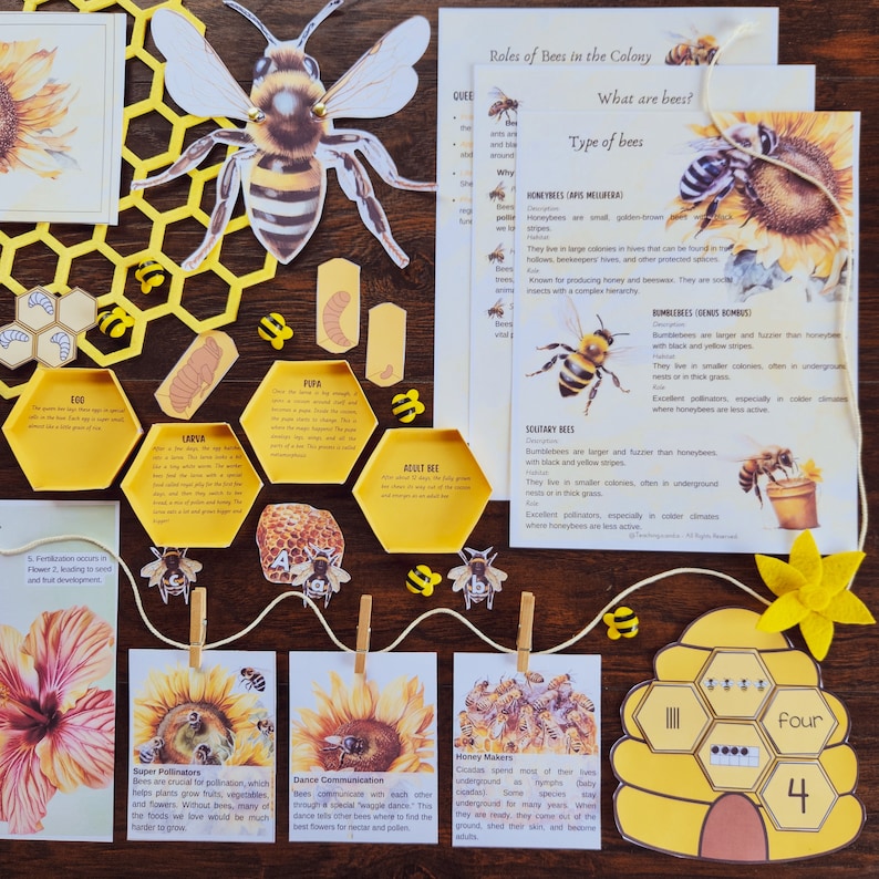 Bees Unit Study, Montessori Activities, Printables, Bee Activities ...