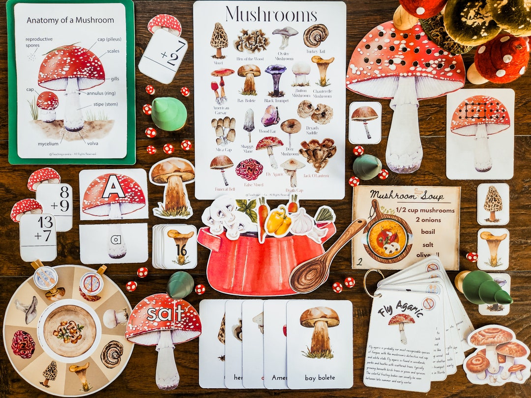 Mushrooms, Fungi, Mushroom Bundle, Mushroom Unit, Printables ...