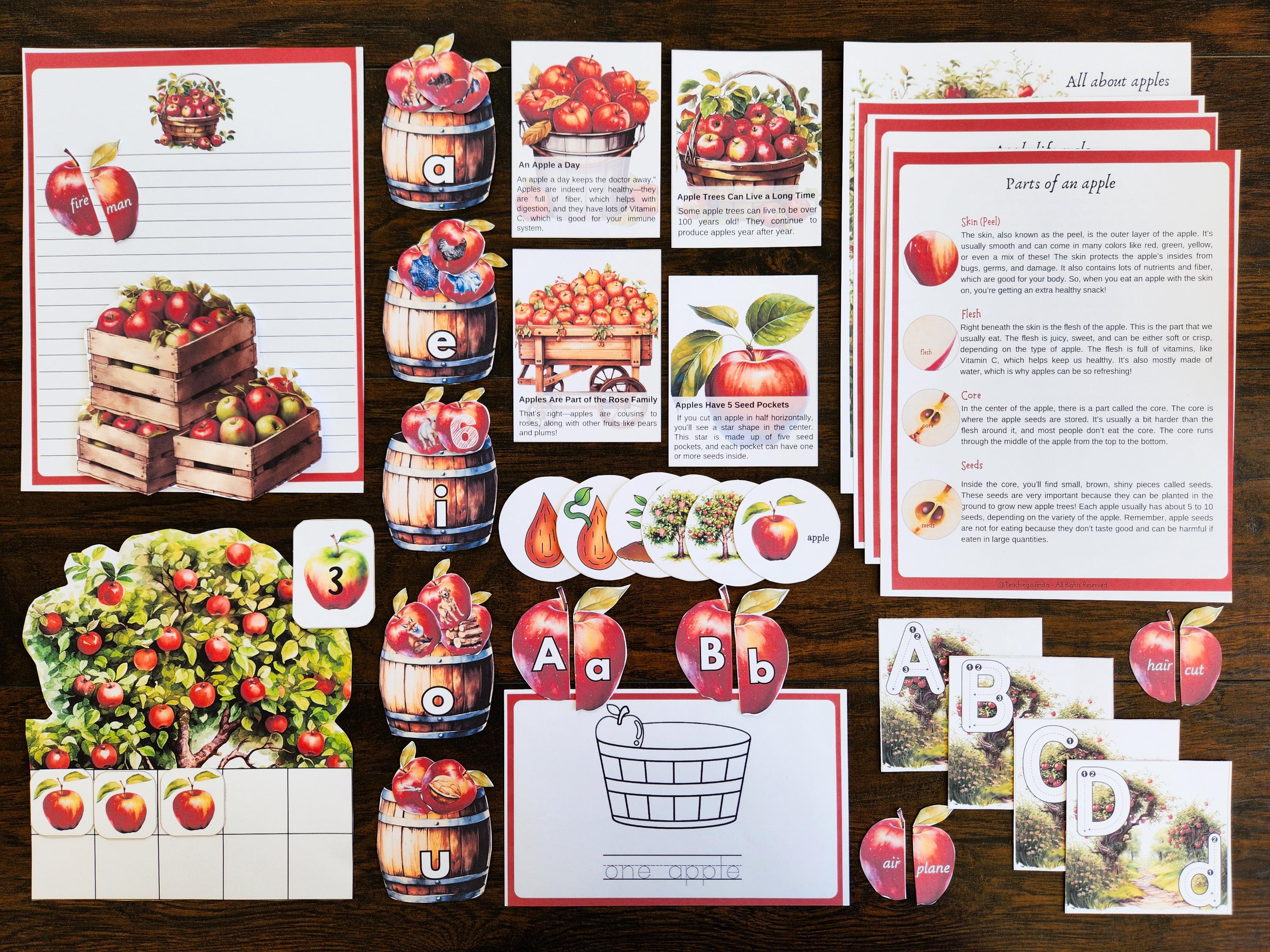 Apple Life Cycle Printable Pack: Johnny Appleseed Activities - Etsy