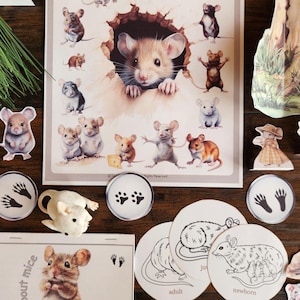 Mice Unit Study, Printables, Homeschool Activities, Mouse, Mouse House ...