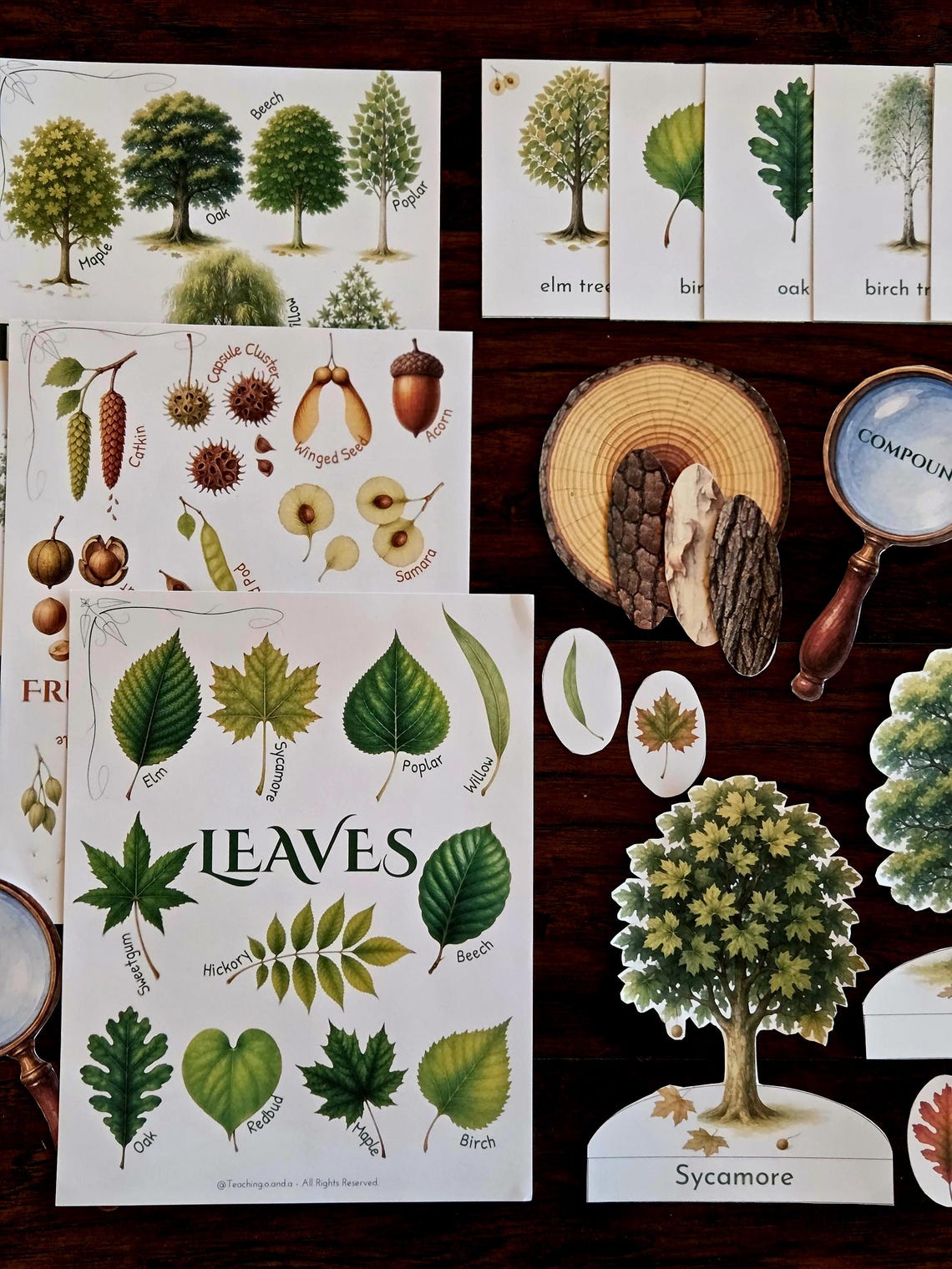 Leaf & Tree ID Learning Pack | Homeschool Nature Study Printables ...
