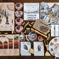 Dinosaur Fossils Magnifying Match Activity, Dinosaur Theme Montessori ...