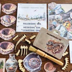 Paleontology Unit Study, Dinosaurs, Fossils, T-rex, Velociraptor ...
