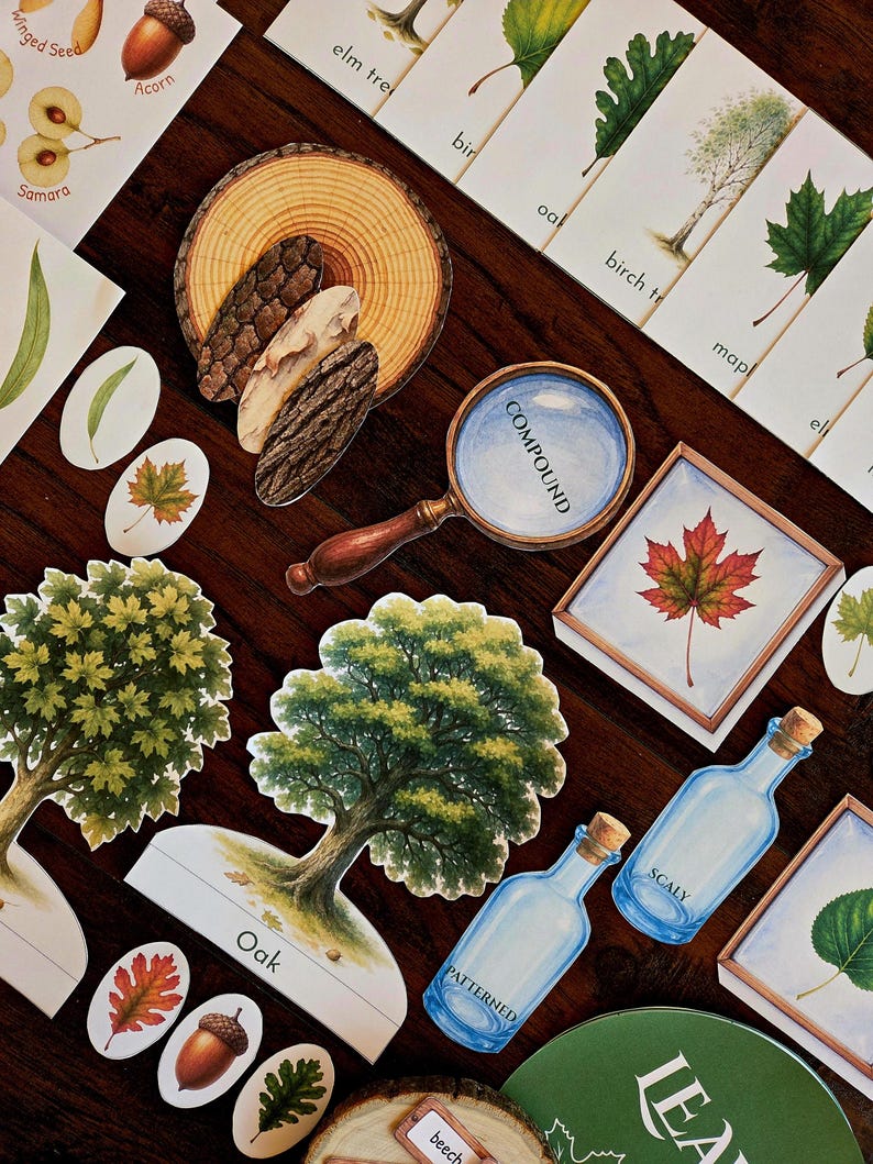 Leaf & Tree ID Learning Pack | Homeschool Nature Study Printables ...