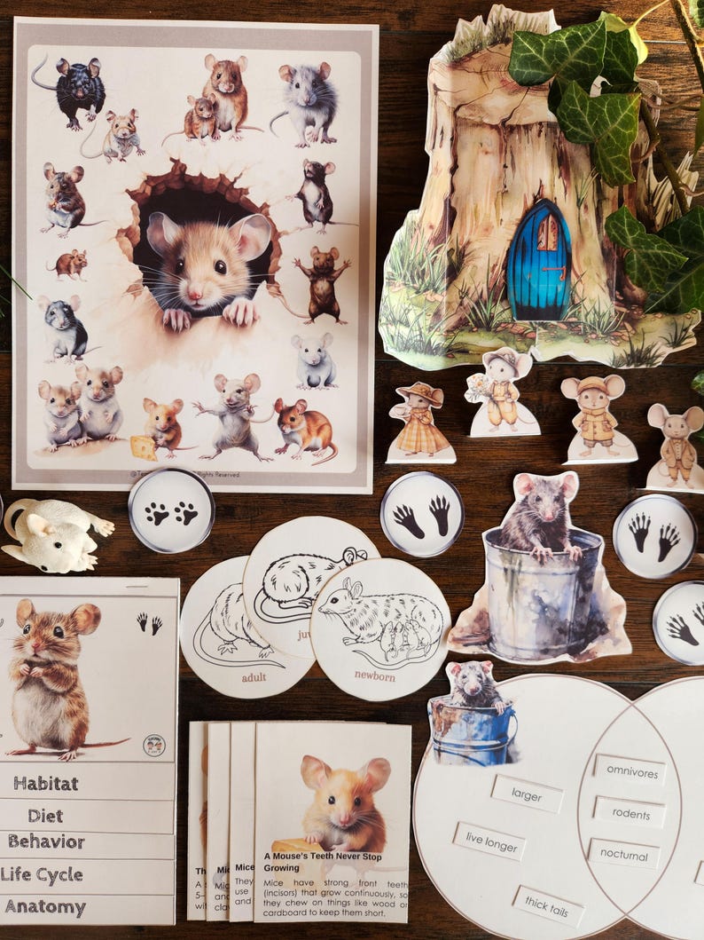 Mice Unit Study, Printables, Homeschool Activities, Mouse, Mouse House ...