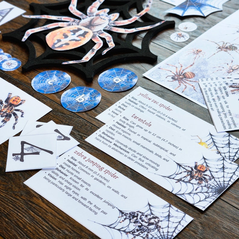 Spiders, Type of Spiders, Spider Web, Type of Webs, Printables ...