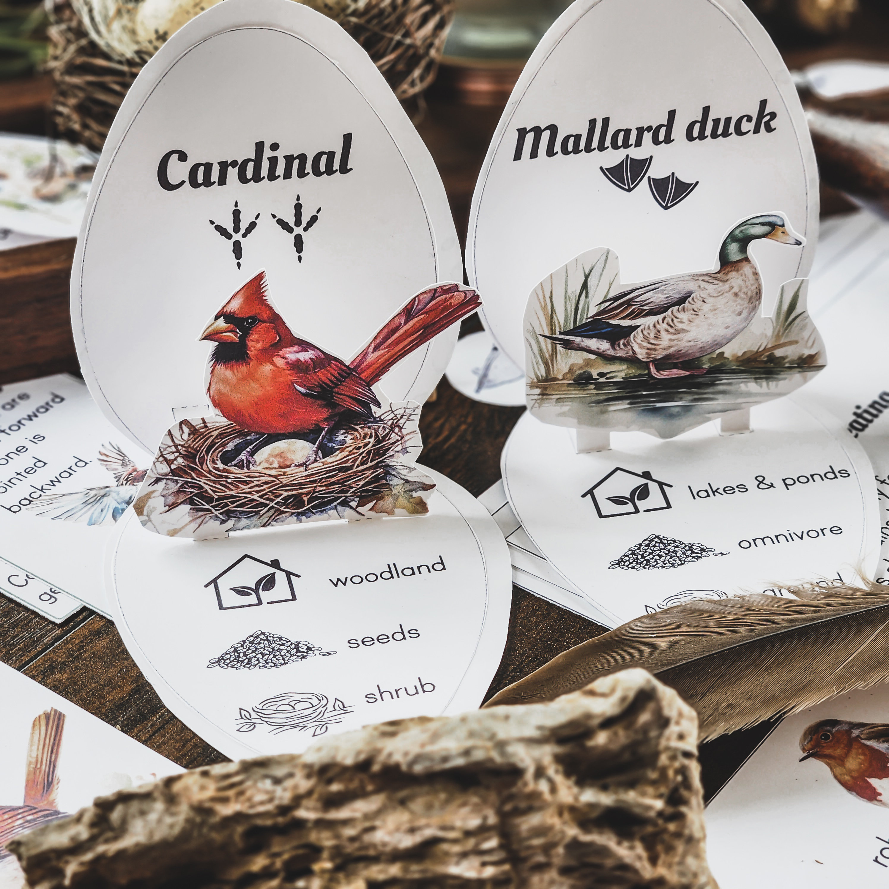 Birds Unit Study, Birds Activities, Nests, Beaks, Homeschool Printable ...