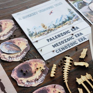 Paleontology Unit Study, Dinosaurs, Fossils, T-rex, Velociraptor ...