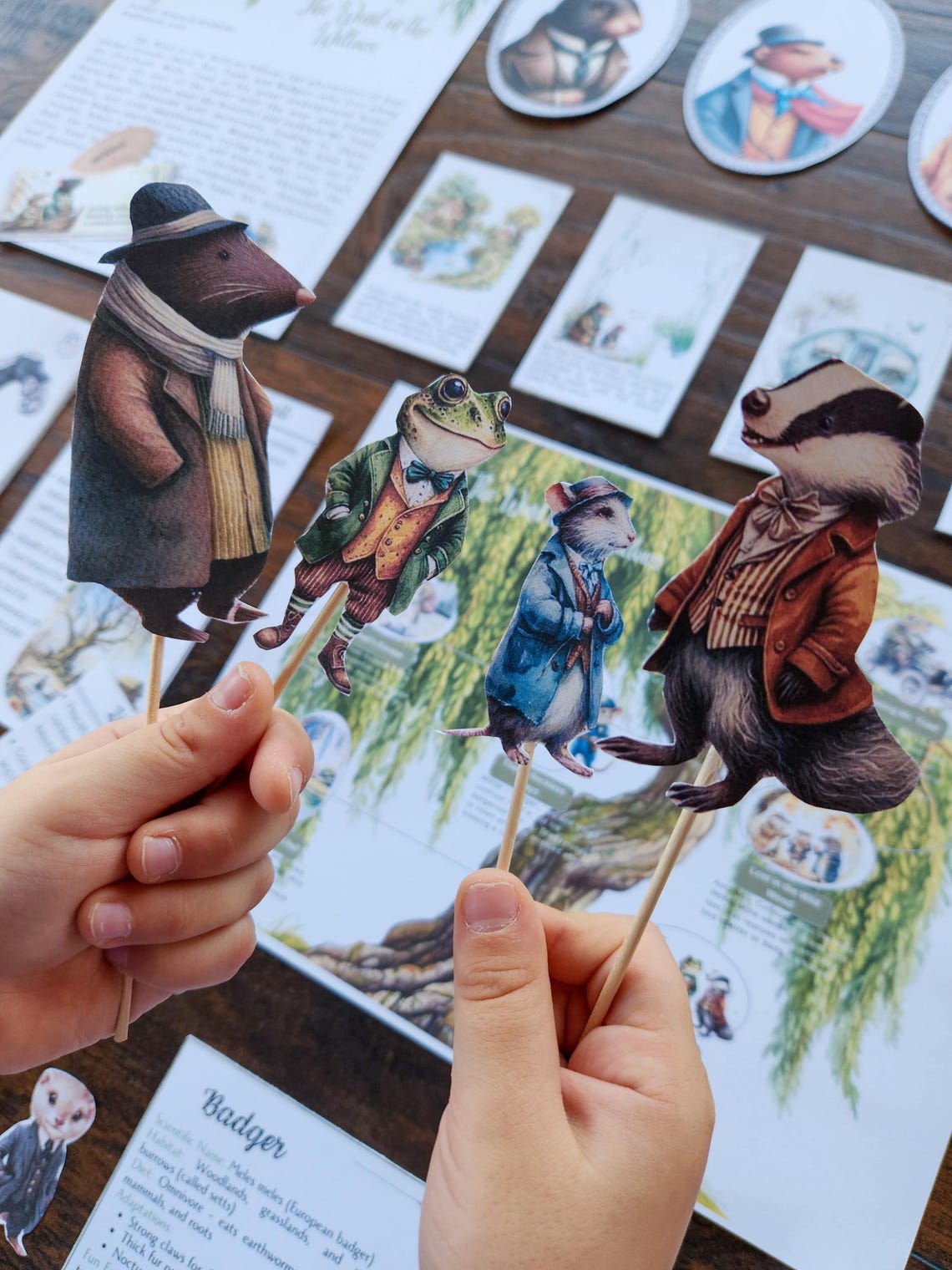 The Wind in the Willows Book Companion | Printable Unit Study ...