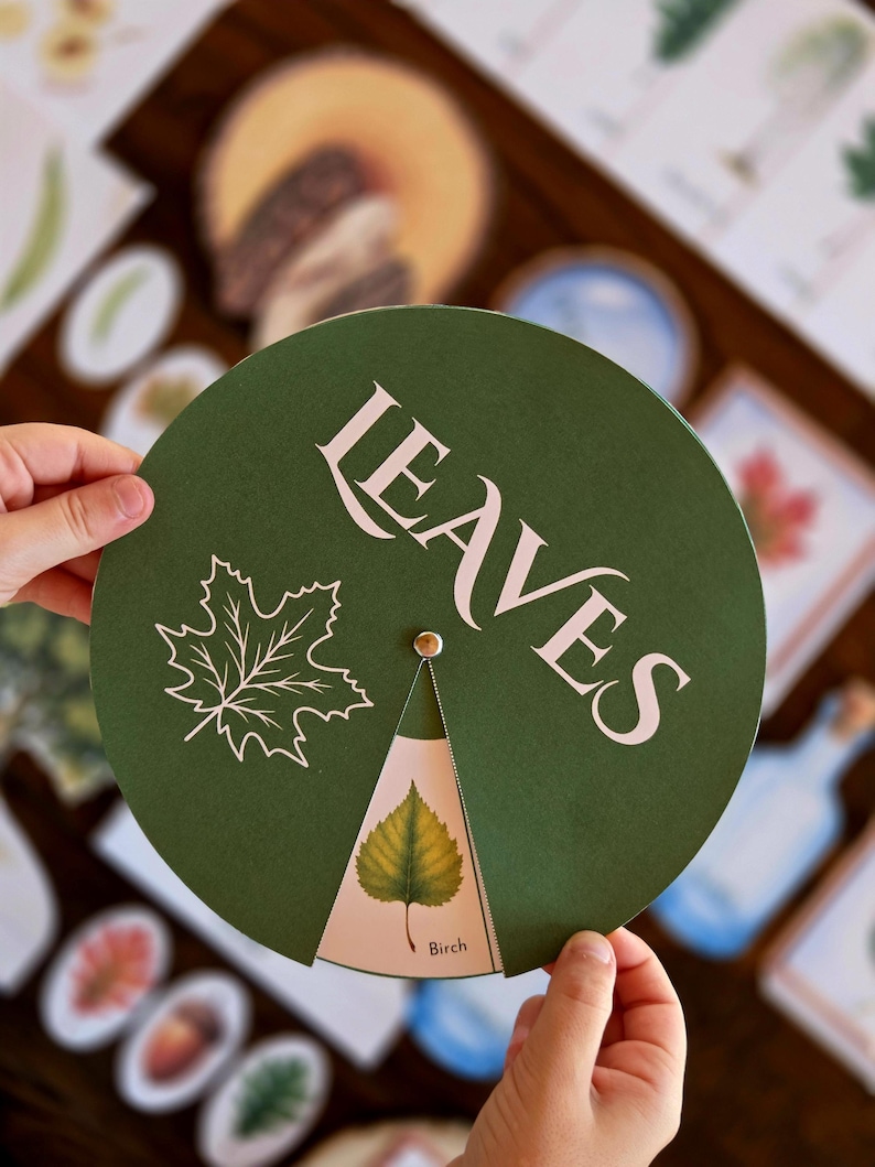 Leaf & Tree ID Learning Pack | Homeschool Nature Study Printables ...