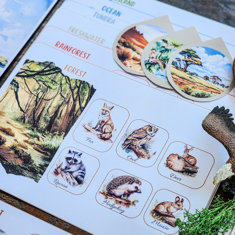 Habitats, Animal Habitats, Homeschool Activities, Printables, Unit ...