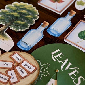 Leaf & Tree ID Learning Pack | Homeschool Nature Study Printables ...