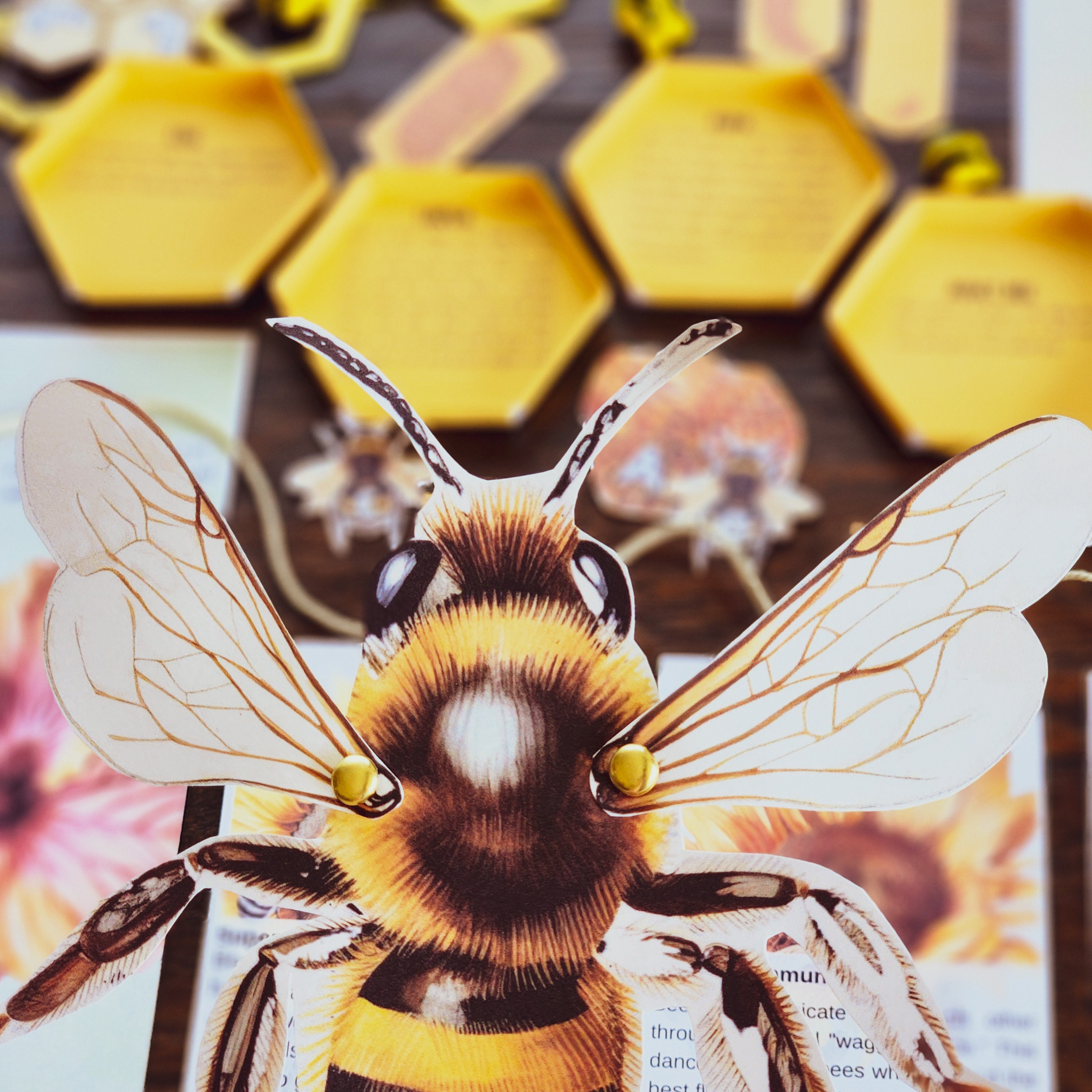 Bees Unit Study, Montessori Activities, Printables, Bee Activities ...