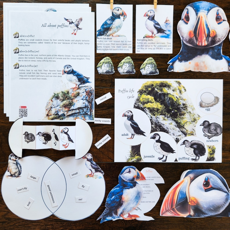 Puffins, Printables, Puffin Unit Study, Morning Basket, Homeschool ...