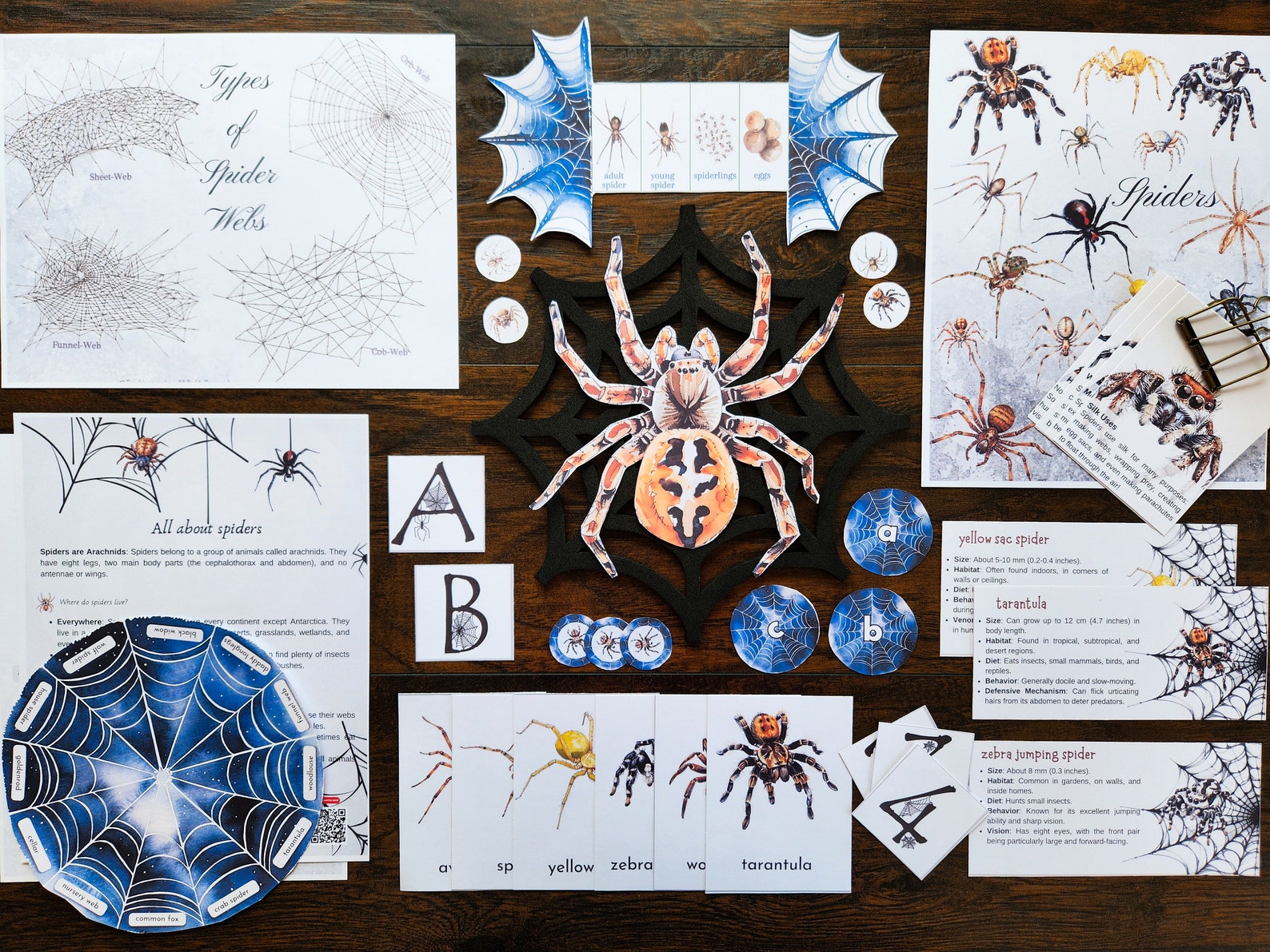 Spiders, Type of Spiders, Spider Web, Type of Webs, Printables ...