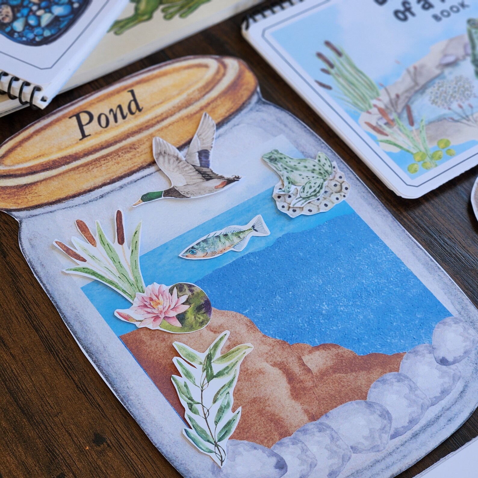 Pond Unit, Pond Study, Montessori Inspired, Homeschool, Homeschool ...