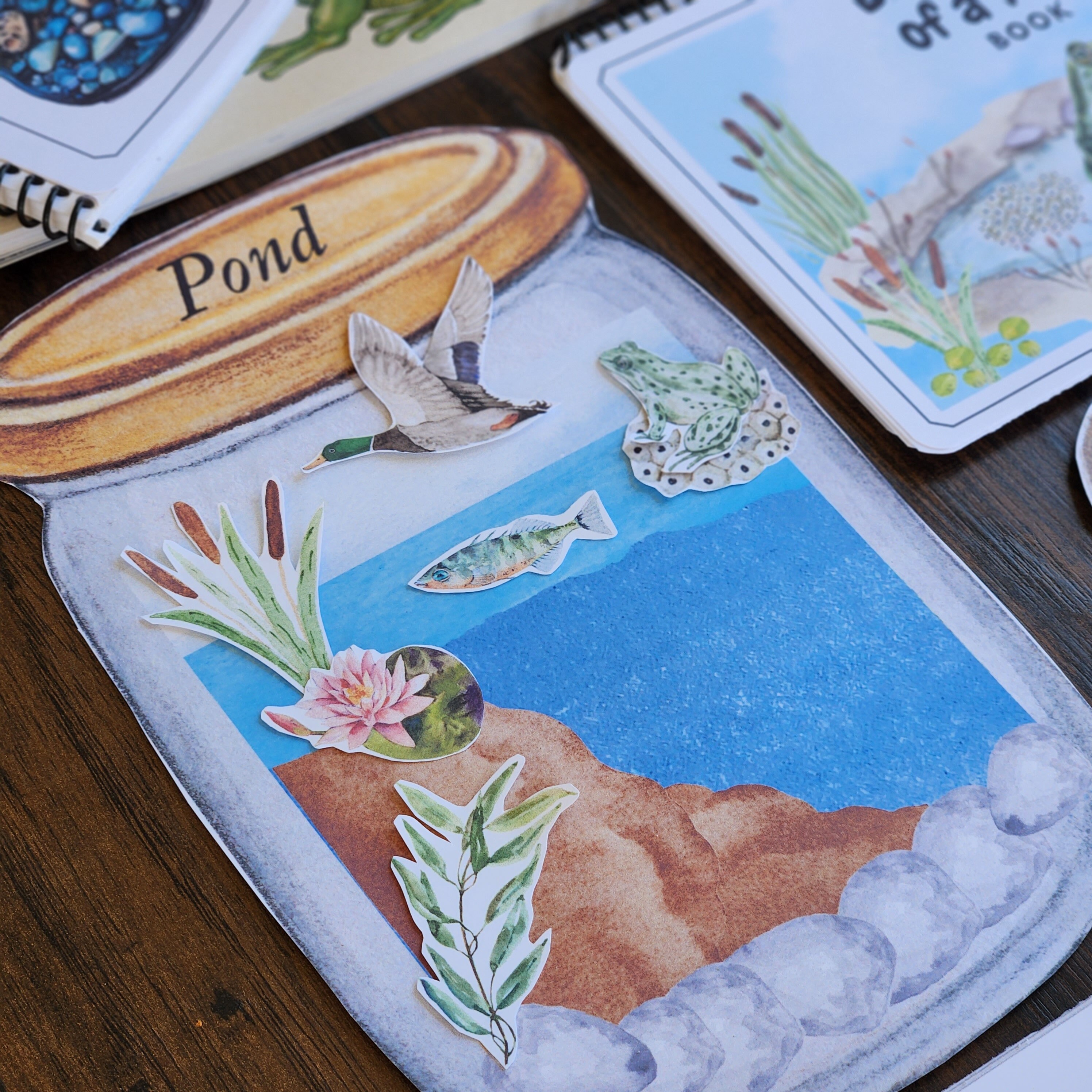 Pond Unit, Pond Study, Montessori Inspired, Homeschool, Homeschool ...