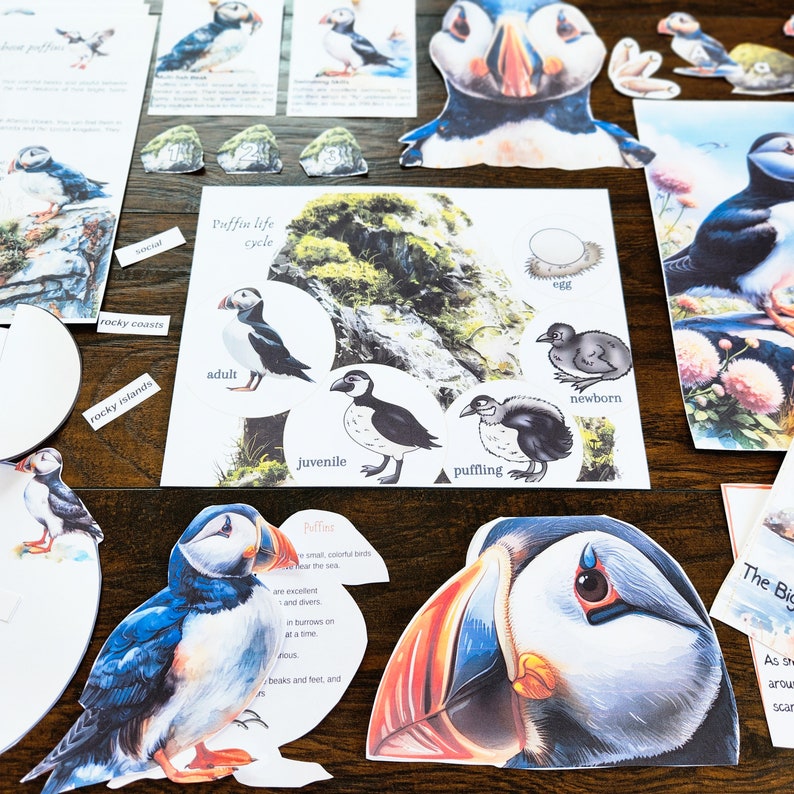 Puffin Printable Pack: Unit Study, Life Cycle, Crafts (50+ Pages) - Etsy