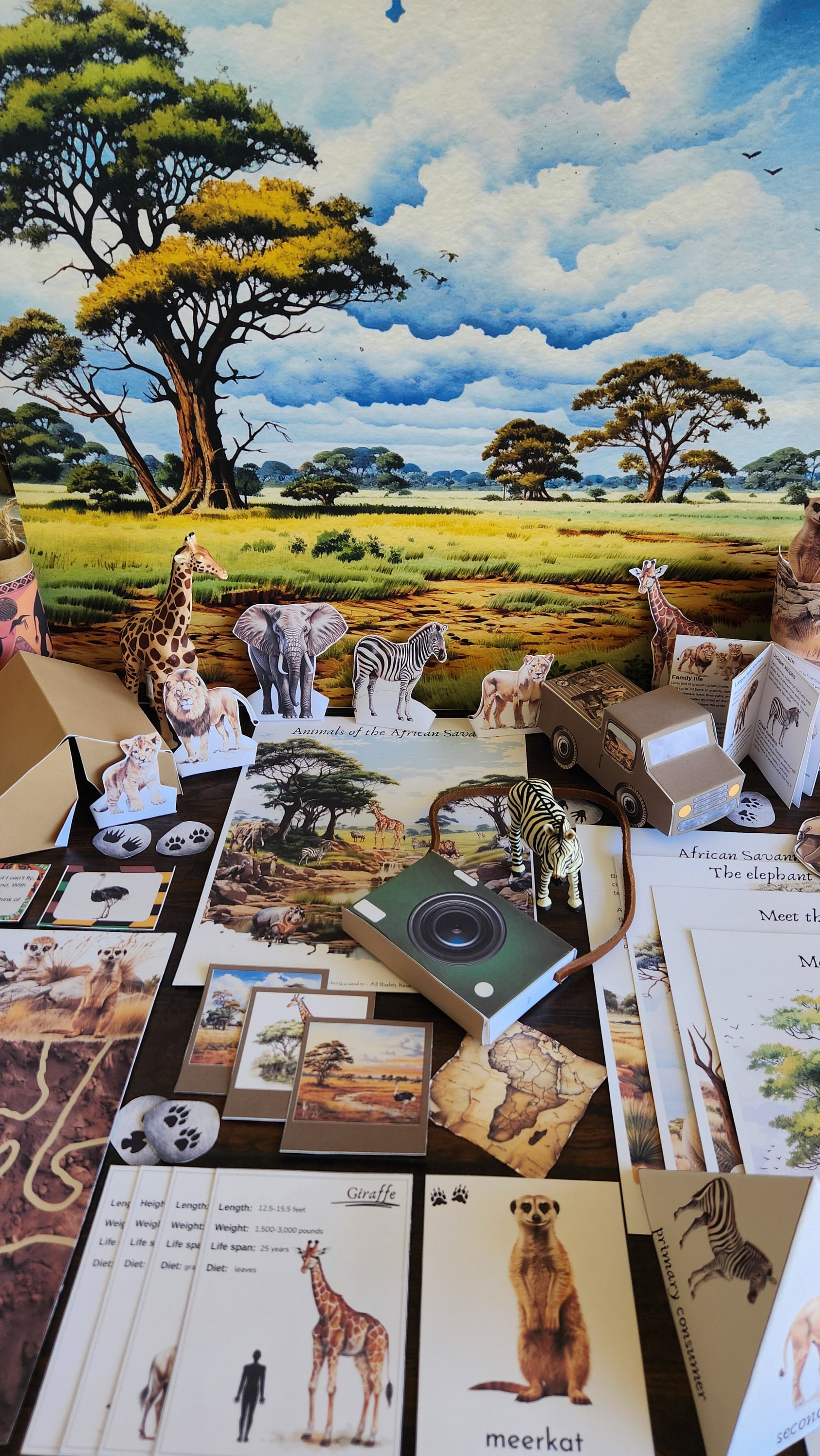 African Savanna, Africa, African Animals, Savanna Unit Study ...