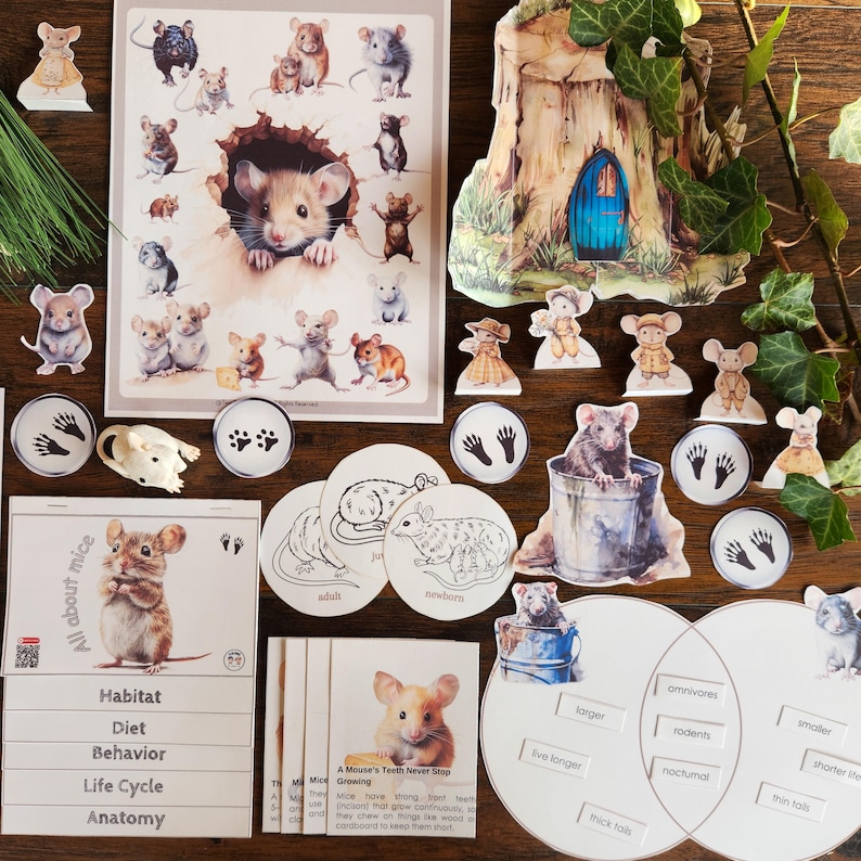 Mice Unit Study, Printables, Homeschool Activities, Mouse, Mouse House ...