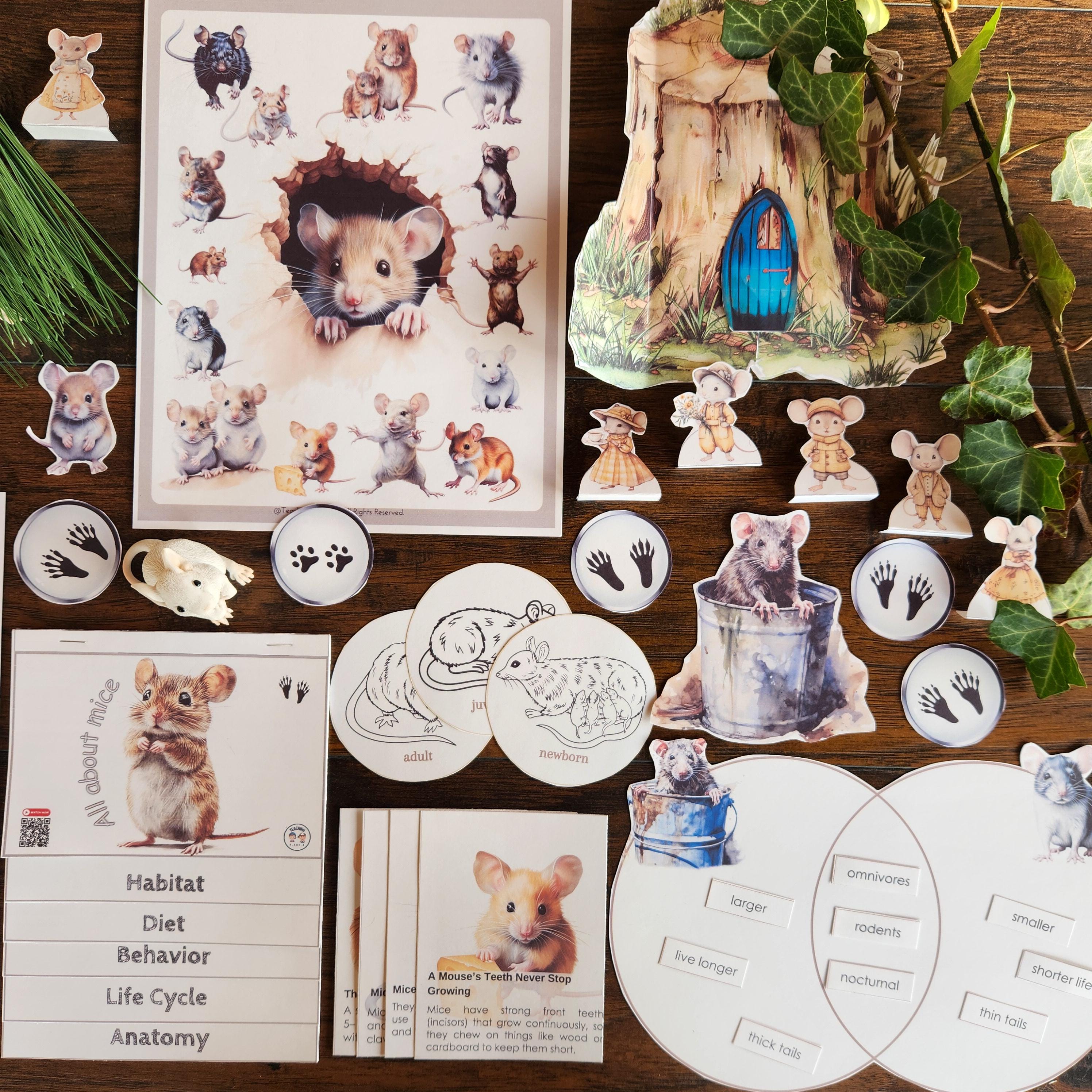 Mice Unit Study, Printables, Homeschool Activities, Mouse, Mouse House ...