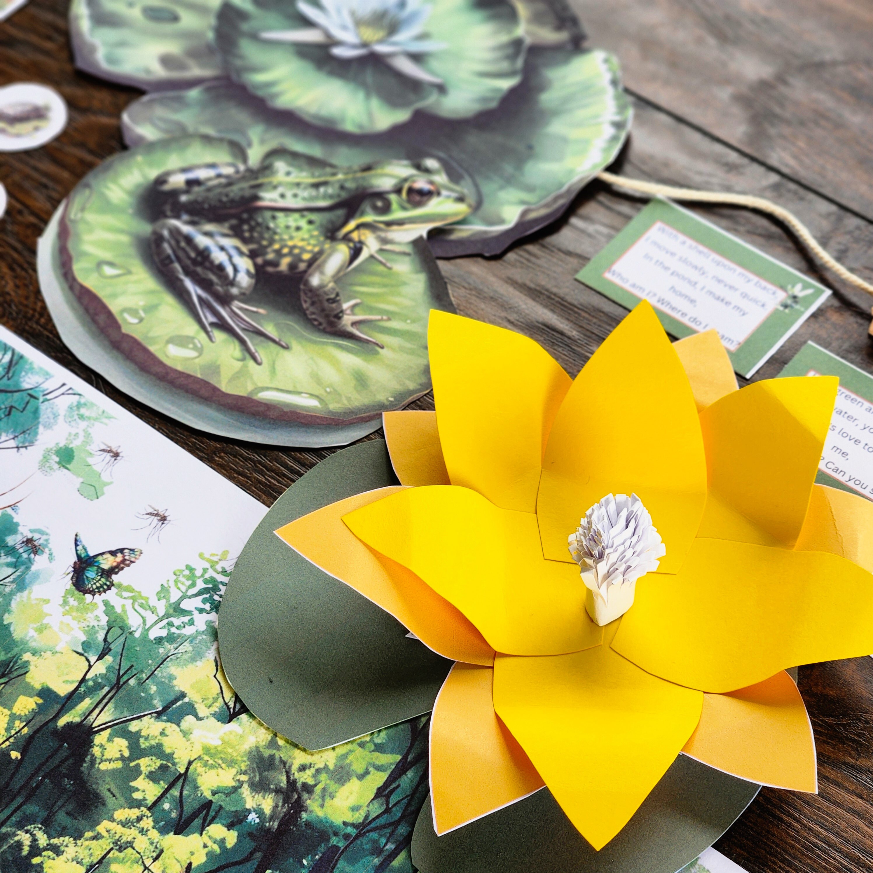 Pond Unit, Pond Study, Montessori Inspired, Homeschool, Homeschool ...