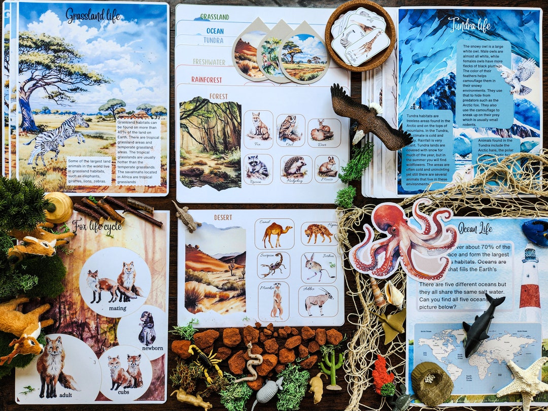 Habitats, Animal Habitats, Homeschool Activities, Printables, Unit ...