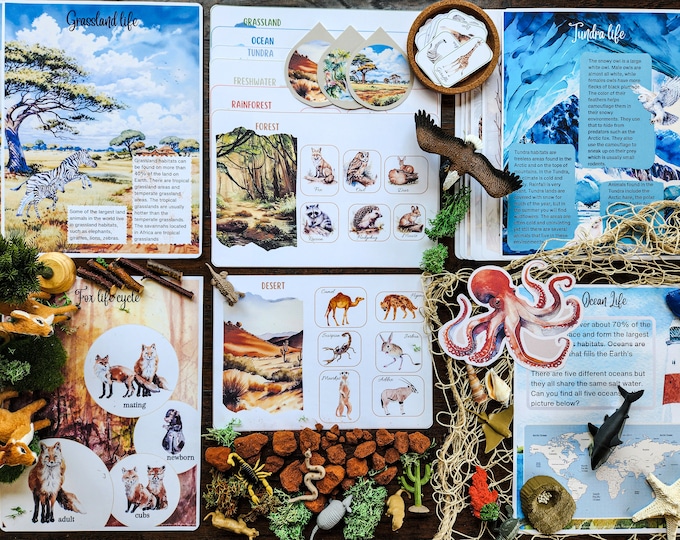 Manualidad de hábitats animales / Diorama de ciencias del hábitat y ...