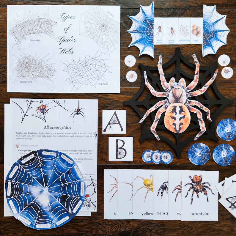 Spiders, Type of Spiders, Spider Web, Type of Webs, Printables ...