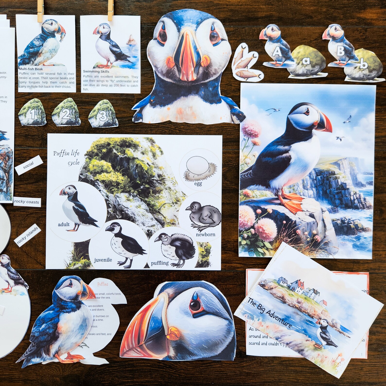 Puffin Printable Pack: Unit Study, Life Cycle, Crafts (50+ Pages) - Etsy