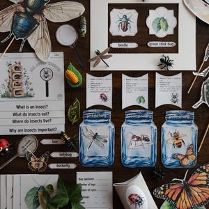 Entomology , Insects Unit Study, Bugs, Butterfly Life Cycle, Printables ...