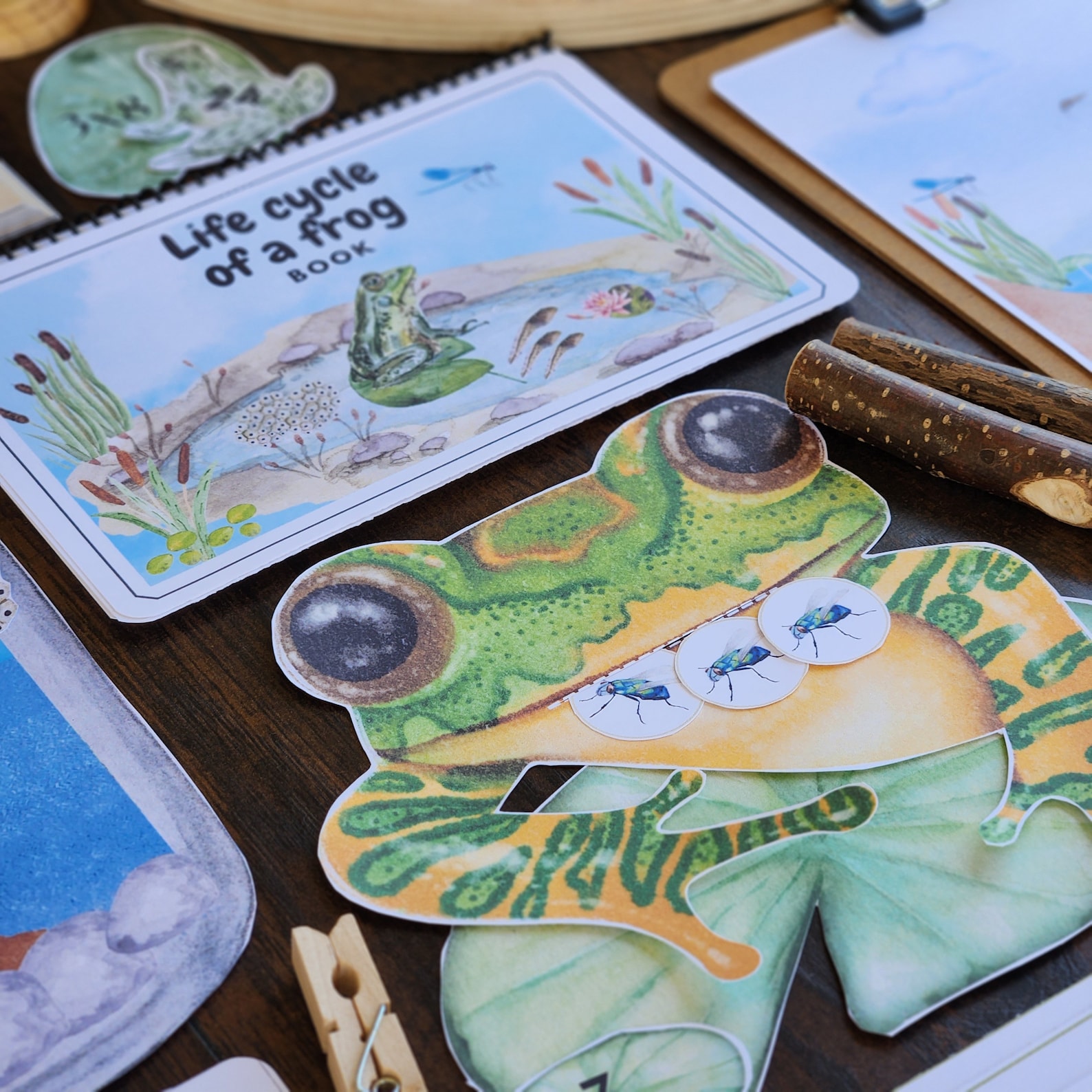 Pond Unit, Pond Study, Montessori Inspired, Homeschool, Homeschool ...