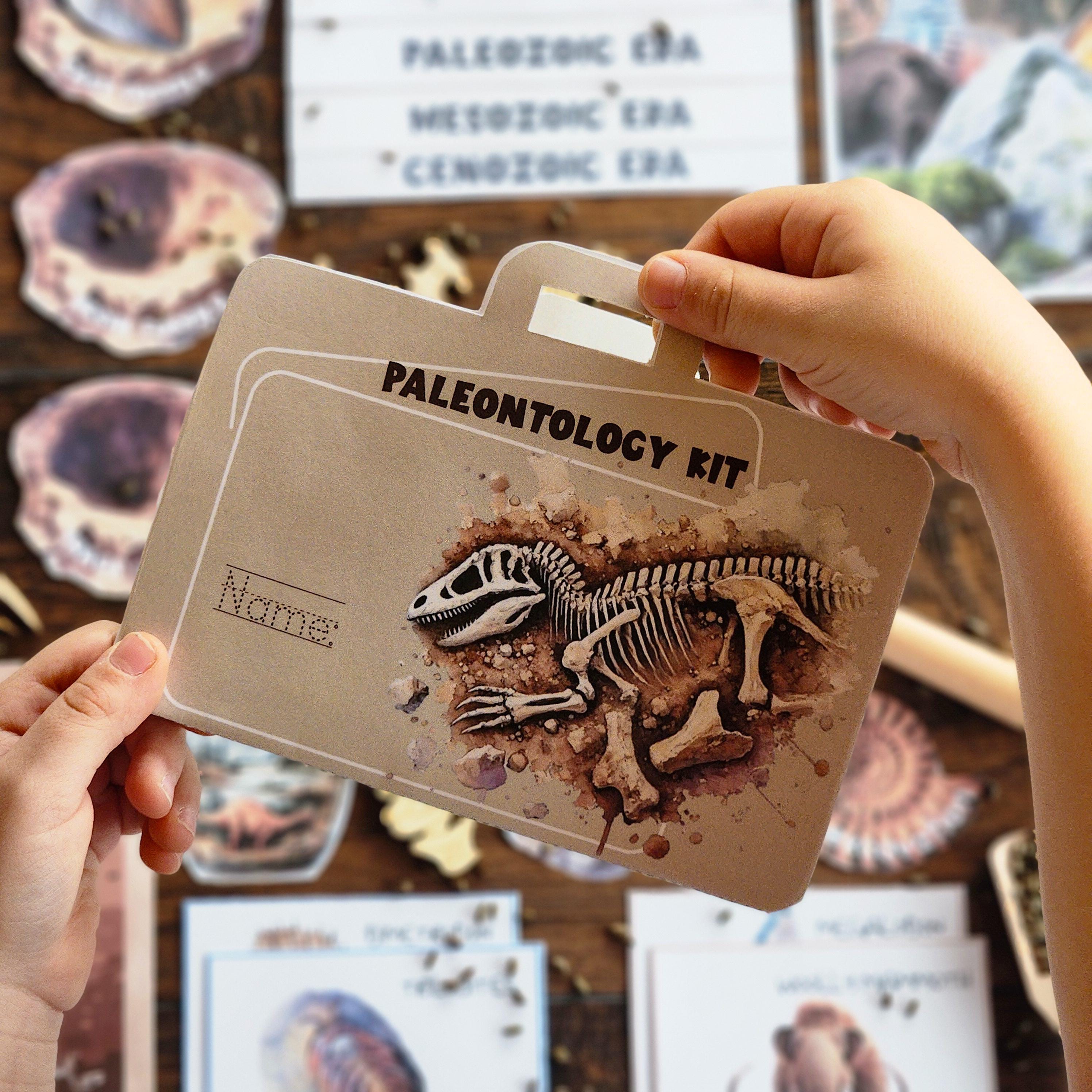 Paleontology Unit Study, Dinosaurs, Fossils, T-rex, Velociraptor ...