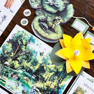 Pond Unit, Pond Study, Montessori Inspired, Homeschool, Homeschool ...