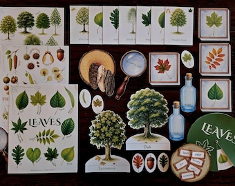Tree Matching Game – Homeschool Montessori Printable (digital Download ...