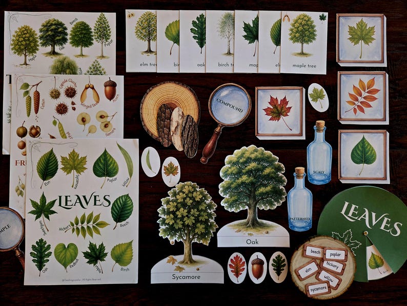 Leaf & Tree ID Learning Pack | Homeschool Nature Study Printables ...