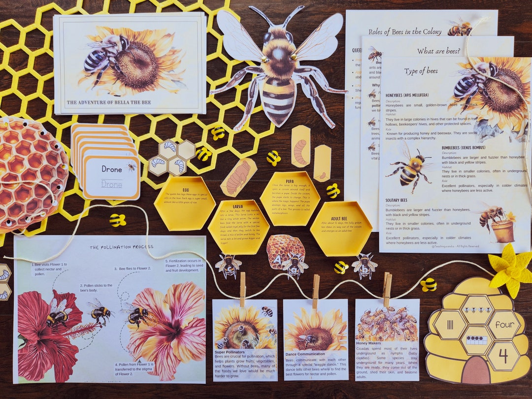 Bees Unit Study, Montessori Activities, Printables, Bee Activities ...